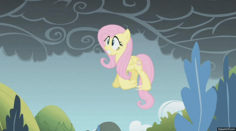 #130830 - animated, cartoon physics, derpibooru import, dragonshy ...