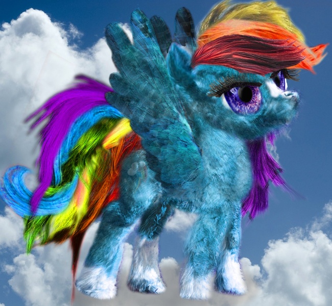 #91625 - derpibooru import, rainbow dash, realistic, safe - Twibooru