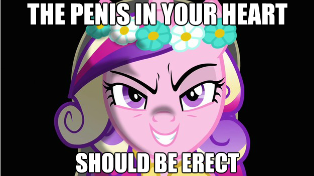 #97678 - derpibooru import, image macro, princess cadance, questionable, rapeface, wat - Twibooru