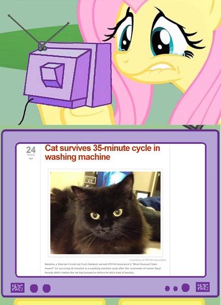 #192261 - safe, derpibooru import, fluttershy, exploitable meme ...