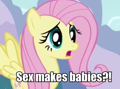 #197559 - safe, derpibooru import, fluttershy, image macro, spoiler ...