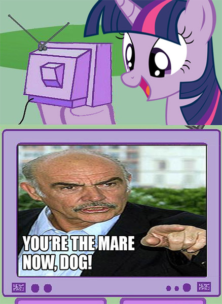 #259359 - derpibooru import, exploitable meme, meme, obligatory pony ...