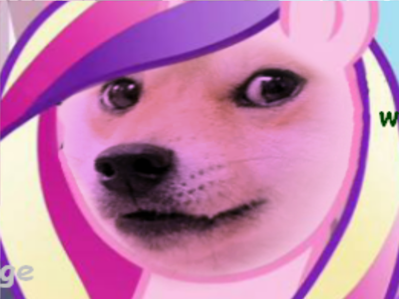 #293854 - safe, derpibooru import, princess cadance, dog, pony, shiba ...