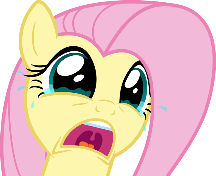Fluttershy Crying Vector