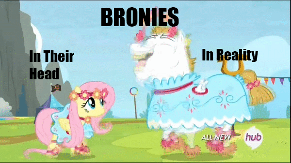 #386860 - safe, derpibooru import, bulk biceps, fluttershy, roid rage ...