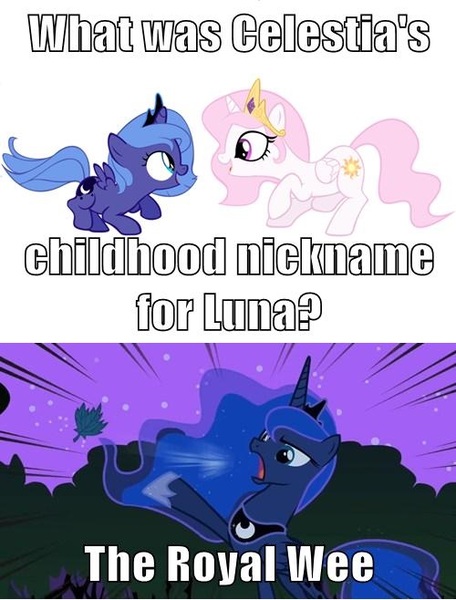 #429644 - bad pun, derpibooru import, filly, meme, princess celestia ...