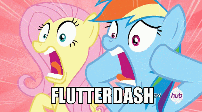 #447222 - animated, derpibooru import, female, flutterdash, fluttershy ...