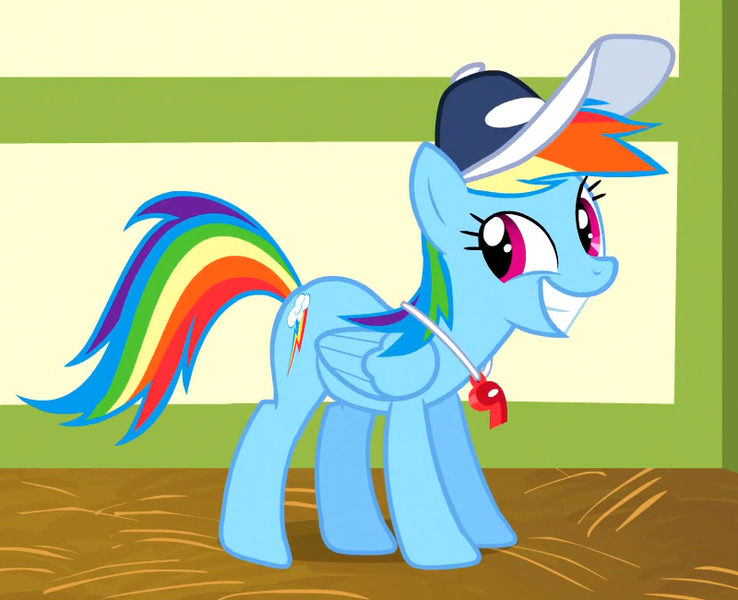 #1016056 - safe, derpibooru import, screencap, rainbow dash, pegasus ...