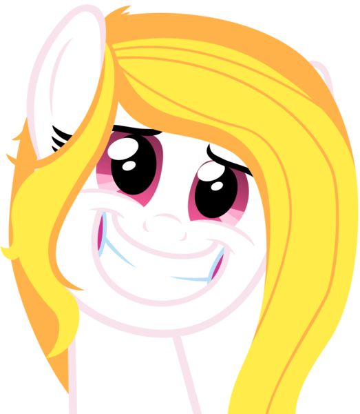 #1357681 - artist needed, source needed, safe, derpibooru import, oc, oc:storm shield ...