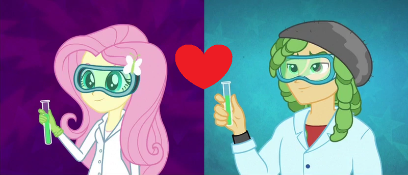 #1615512 - safe, derpibooru import, fluttershy, sandalwood, acadeca ...