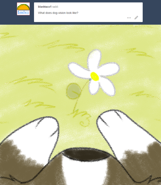 #1720651 - artist:askwinonadog, ask, ask winona, derpibooru import ...