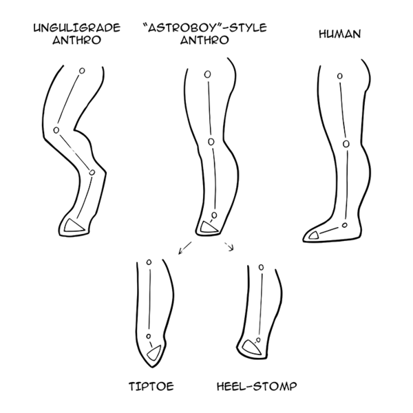 #1766140 - anatomically incorrect, anatomy, anthro, artist:toonbat ...