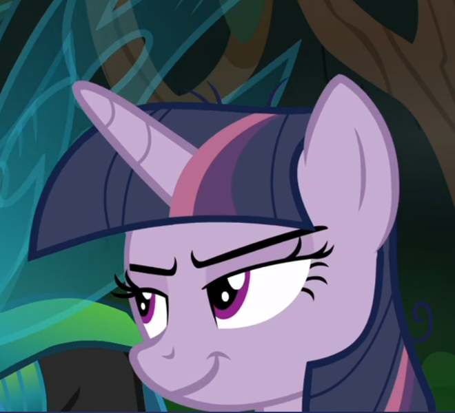 Twilight Sparkle Smirk