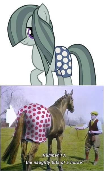 #2005928 - safe, artist:sazanamibd, derpibooru import, marble pie, smarty pants, earth pony ...