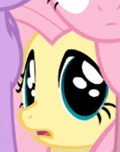 #2100608 - animated, derpibooru import, fluttershy, safe - Twibooru