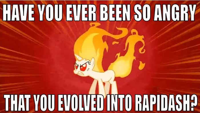 #25889 - angry, derpibooru import, image macro, meme, rapidash ...