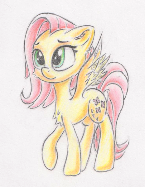 #2348586 - safe, derpibooru import, fluttershy, pegasus, chest fluff ...