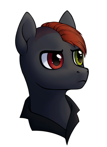 #2370272 - safe, alternate version, artist:belka-sempai, derpibooru import, oc, unofficial ...