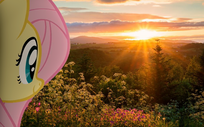 #2629744 - safe, artist:icetea, derpibooru import, fluttershy, pegasus ...