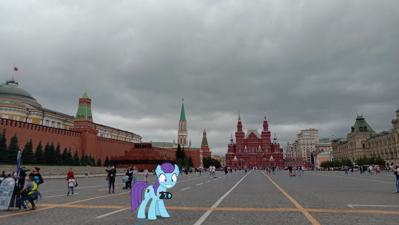 #2810908 - safe, derpibooru import, oc, earth pony, human, pony, camera ...