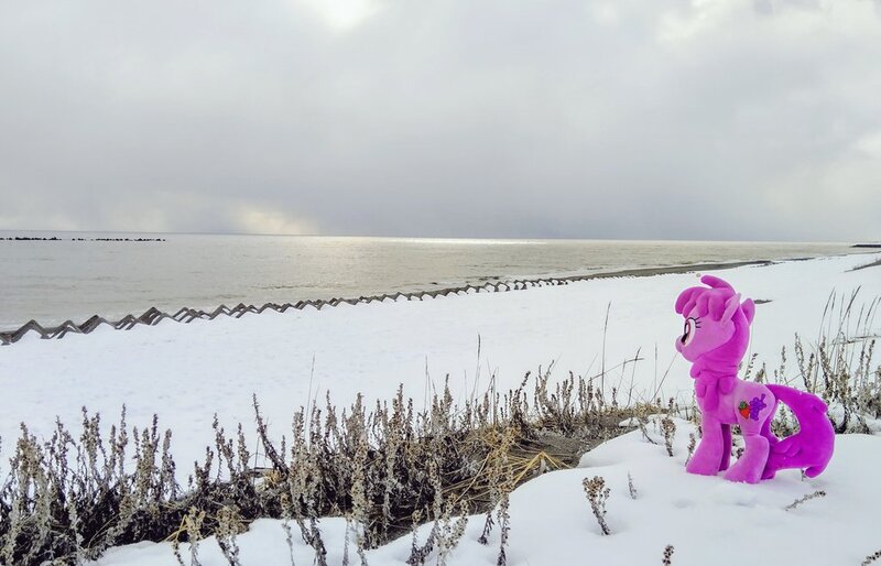 #2645589 - safe, derpibooru import, photographer:pakapaka1993, berry ...