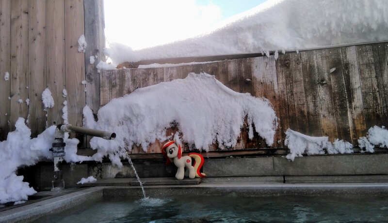 #2647373 - safe, derpibooru import, photographer:pakapaka1993, oc, oc ...