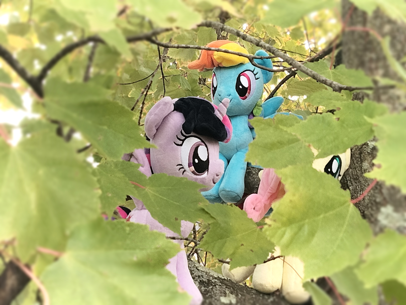 #3070208 - safe, artist:natsnaps, derpibooru import, fluttershy, rainbow dash, twilight sparkle ...