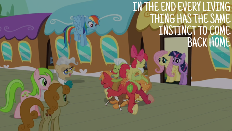 #2906642 - safe, derpibooru import, edit, edited screencap, editor:quoterific, screencap, apple ...