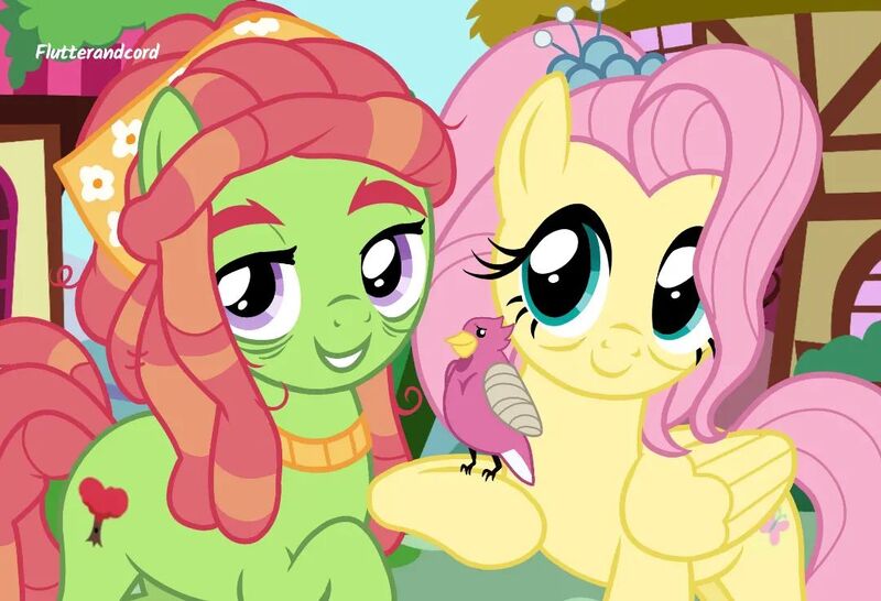 #2914654 - safe, derpibooru import, editor:flutterandcord, fluttershy ...