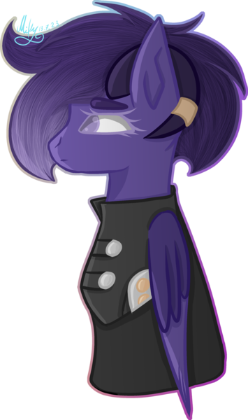 #3012420 - safe, artist:thecommandermiky, derpibooru import, oc, oc:miky command, unofficial ...