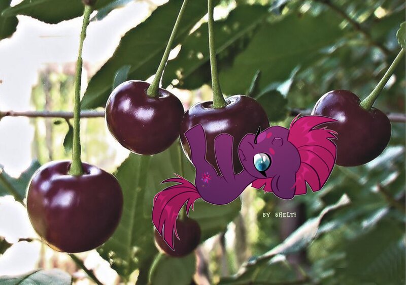 #3332728 - safe, artist:shelti, ponerpics import, tempest shadow, pony ...