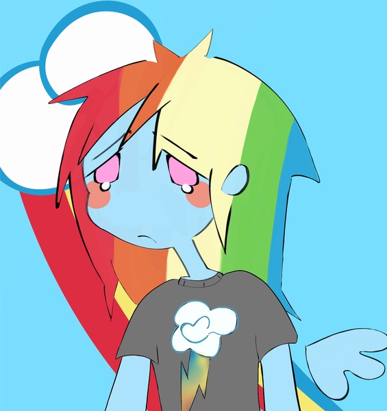 #3506502 - safe, artist:arrogantdonkey11, derpibooru import, rainbow dash, equestria girls, g4 ...