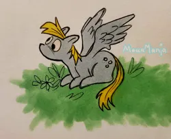 artist:maccamania - Tags - Twibooru