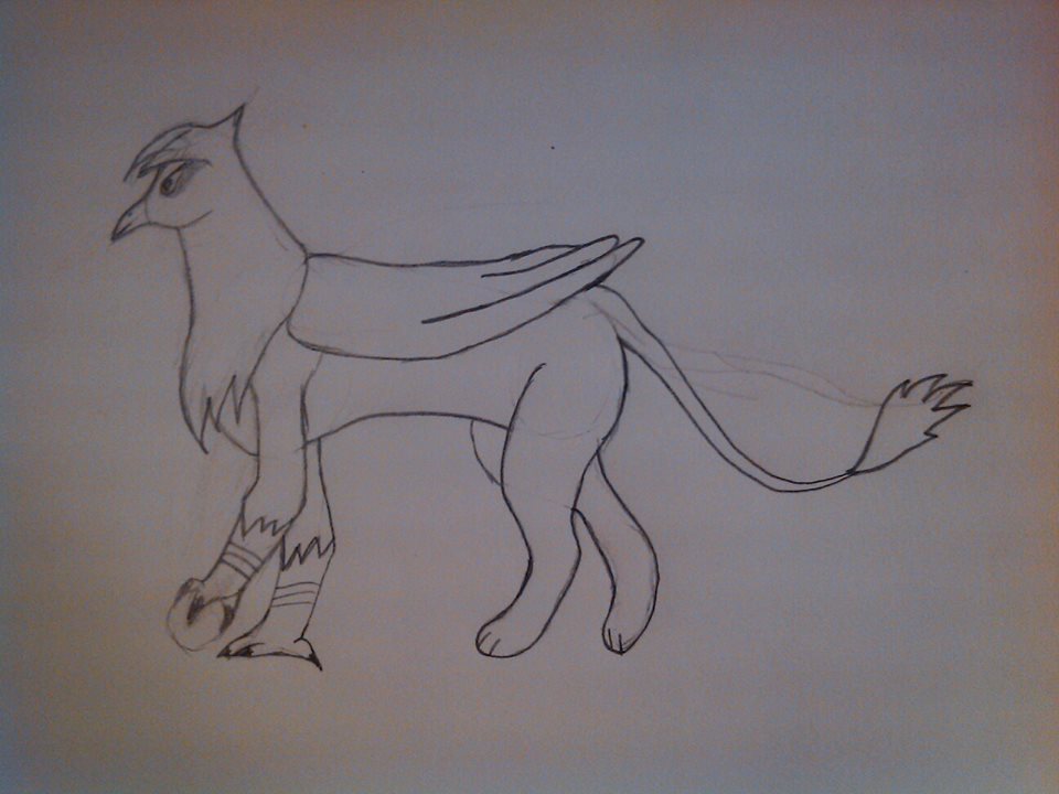 #247993 - safe, derpibooru import, gryphon, drawing - Twibooru