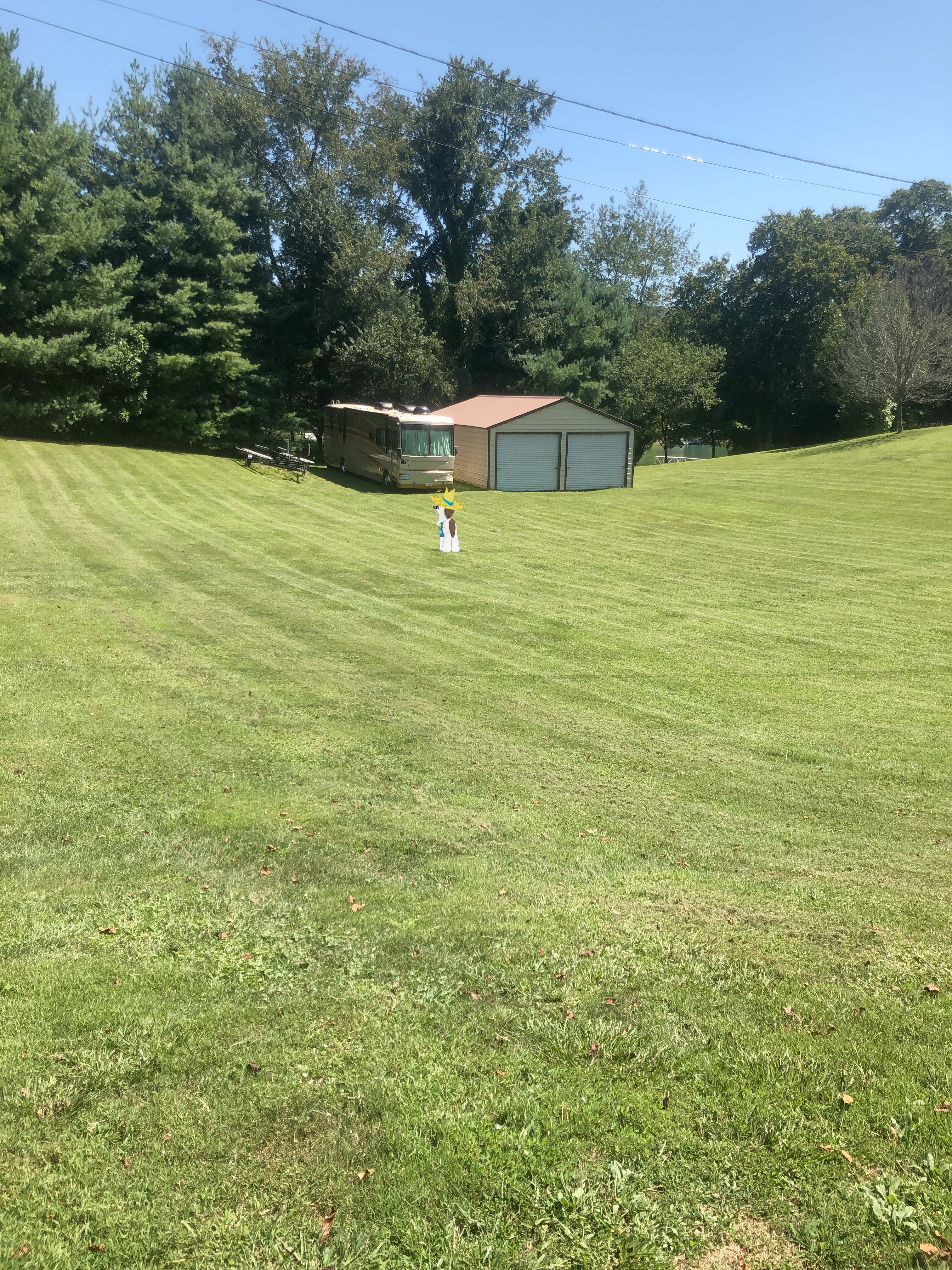 #1707101 - safe, derpibooru import, photographer:undeadponysoldier ...