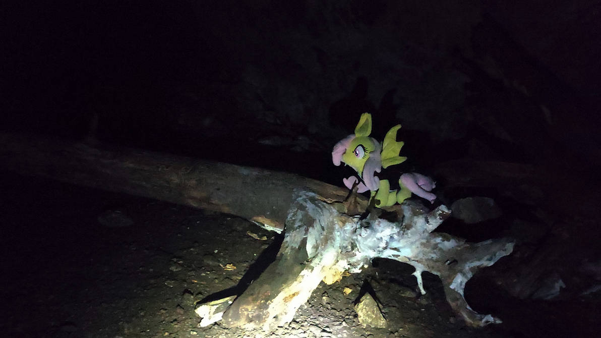 #2822874 - safe, derpibooru import, fluttershy, bat pony, pony, bat ...