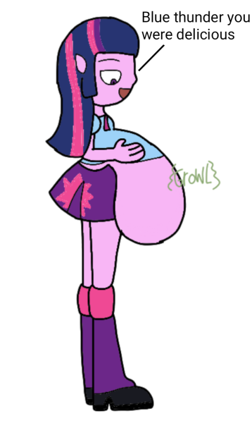 #3074593 - questionable, derpibooru import, twilight sparkle, oc, oc:blue thunder, human ...